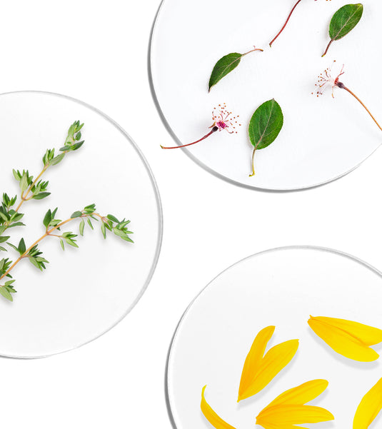 Nail care, foot care and nail polish | PODERM – PODERM®