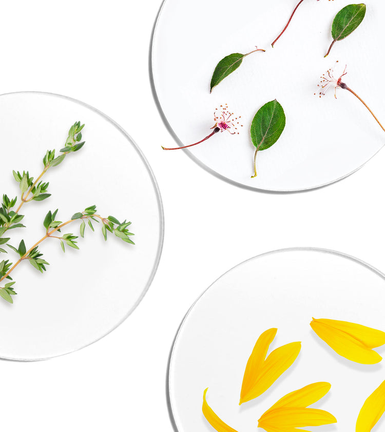 Traitement d’une verrue : tous nos conseils – PODERM®